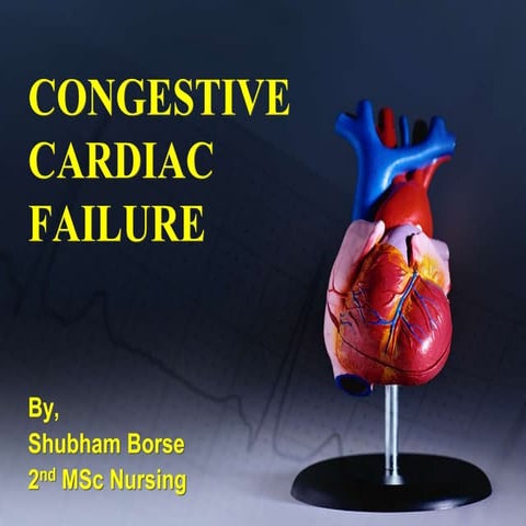 cardiovascular changes in elderly | PDF