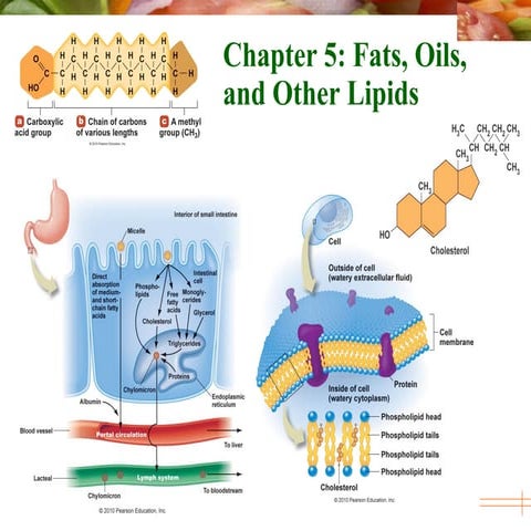 Fats - Structure and Composition | PPTX