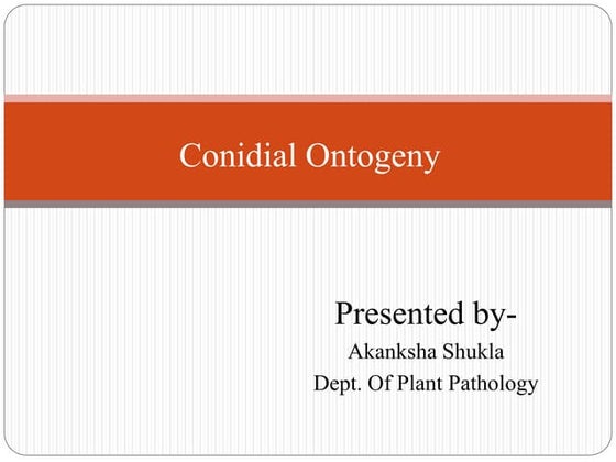 Conidial ontogeny | PPT