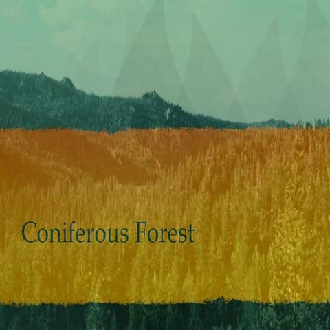 Coniferous forest | PPTX
