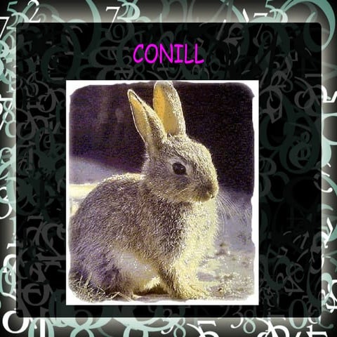 El conill (Andrea) | PPT