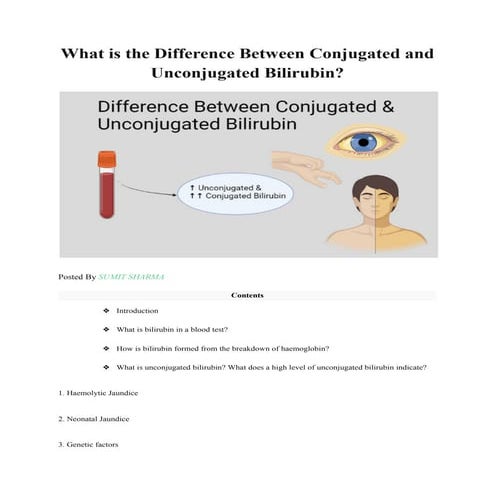 What Is The Difference Between Conjugated And Unconjugated Bilirubin Pdf