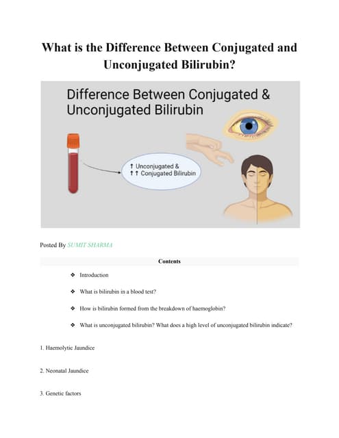 What Is The Difference Between Conjugated And Unconjugated Bilirubin Pdf