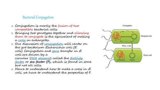 Conjugation: Discovery, F+, F- and Hfr conjugation, F- genetic crosses ...