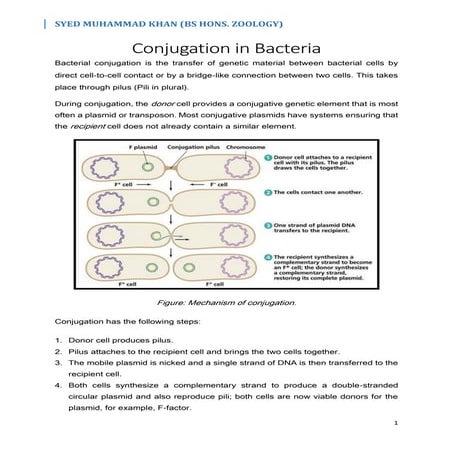 Conjugation: Discovery, F+, F- and Hfr conjugation, F- genetic crosses