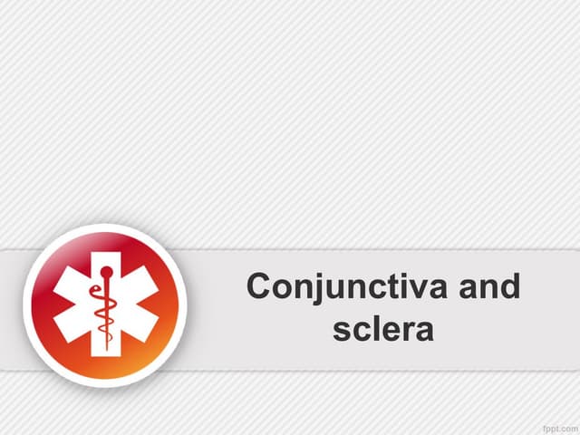 Conjunctiva | PPTX