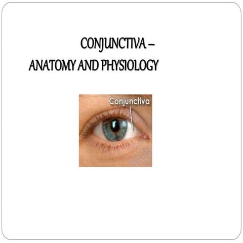 conjunctiva of human eye anatomy and physio.pptx