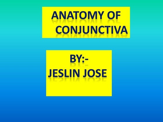 Conjunctiva | PPTX
