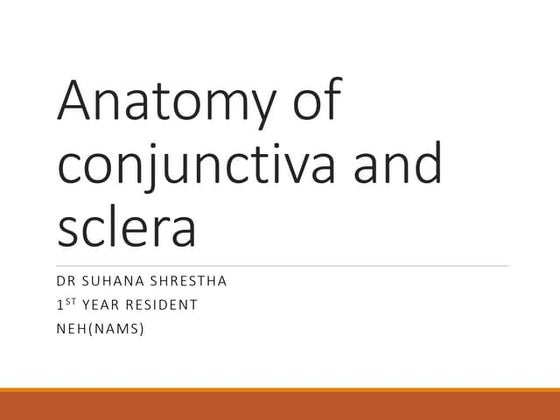 Conjunctiva | PPTX