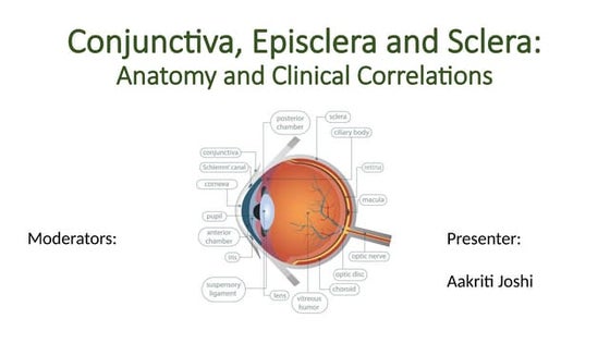 Anatomy of conjunctiva | PPTX | Eye and Vision Conditions | Diseases ...