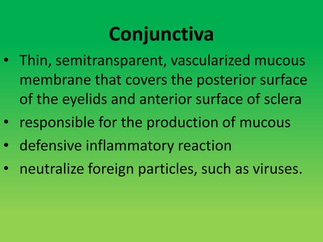 Conjunctiva | PPTX