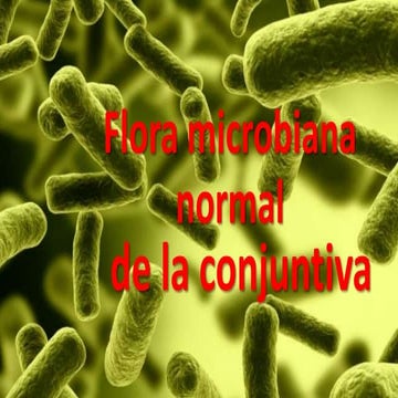 FLORA BACTERIANA NORMAL EN REGION OCULAR.pptx