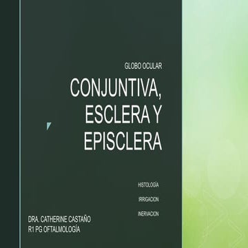 Anatomía de la Esclera y clasificación. | PPTX