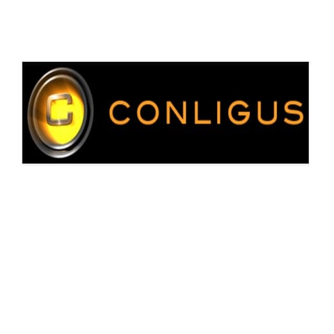 Conligus business presentation | PDF