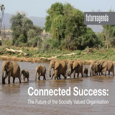 Connected success The Future of the Socially Valued Organisation - Full ...