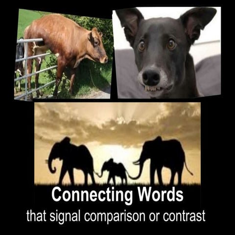 Connecting words for comparison and contrast 3 | PPT
