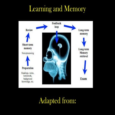 Connection between learning and memory ppt.ppt