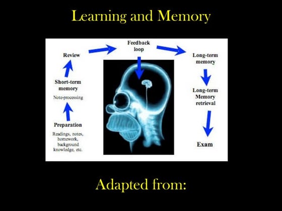 Learning_and_Memory_Physiology mbbs.pptx