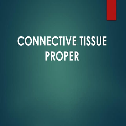 Connective Tissue in Animals | PPTX