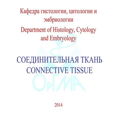 Connective tissue histology presentation (1).ppt