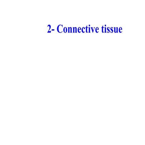 Connective tissue | PPT