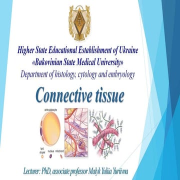 Connective tissue | PDF