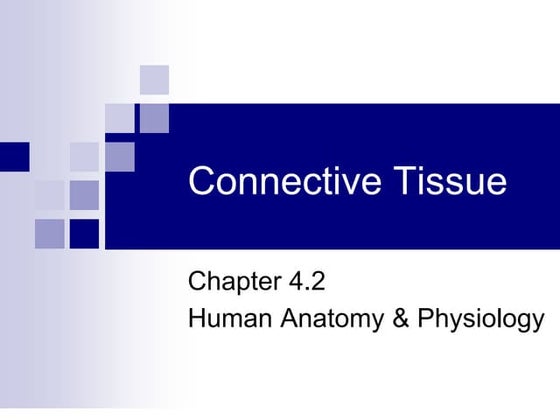 Connective Tissue Table.docx | Bone and Joint Conditions | Diseases and Conditions