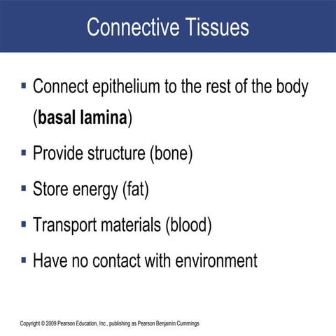A detailed description about the Connective Tissues | PDF