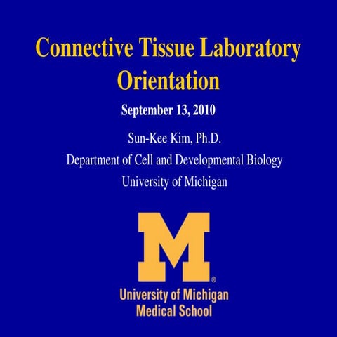 Connective Tissue Lab Introduction_opt.ppt