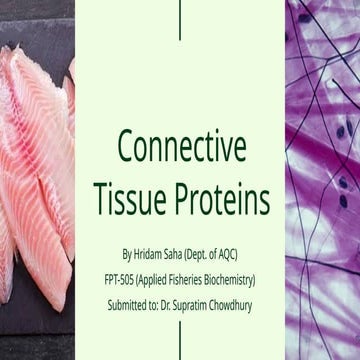 Connective tissue protein by Hridam Saha.pptx