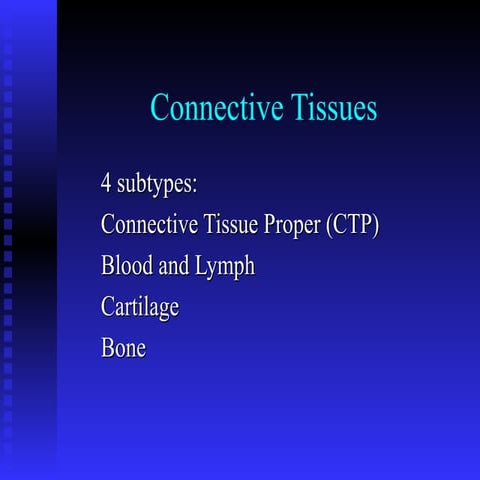 Connective tissues | PPT