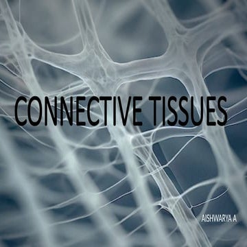 Connective Tissues And Nervous Tissues Ppt