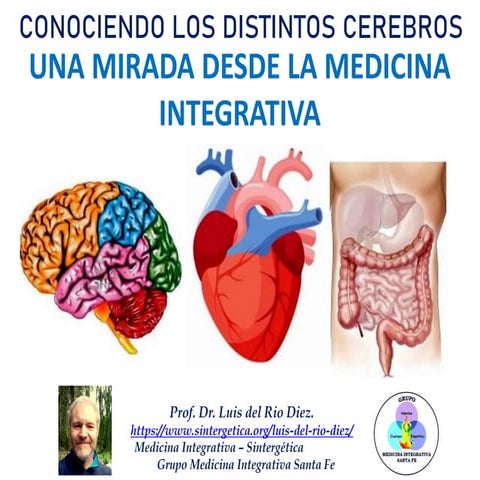 CONOCIENDO LOS DISTINTOS CEREBROS UNA MIRADA DESDE LA MEDICINA ...
