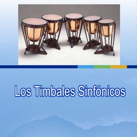 Conocimiento basico del timbal | PPSX