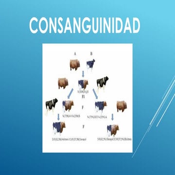 PARENTESCO Y CONSANGUINIDAD EN MEJORAMIENTO GENÉTICO | PPTX