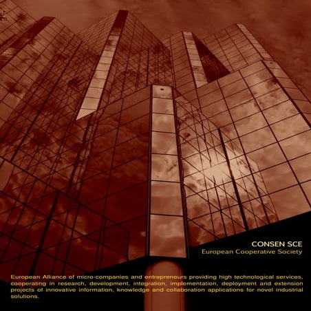 ENG_Operational Manual_EU DIEH_ Year -1 _ Version _15.08.docx