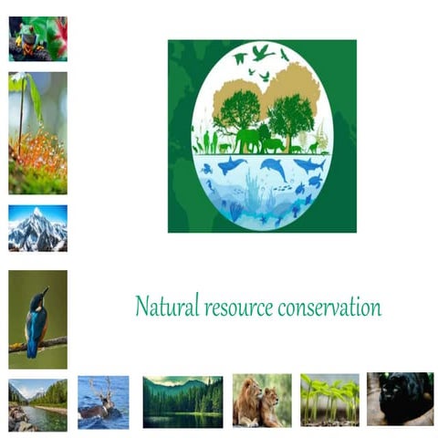 Conservation of natural resources | PPTX
