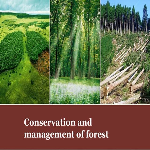conservation and management of forests.pptx