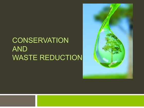 How To Save The Environment | PDF | Environmental Services Industry ...