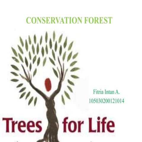 Conservation forest | PPT