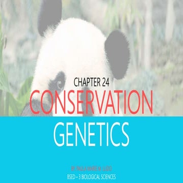 Genetics Chapter 24:Conservation Genetics | PPTX | Genetics | Science