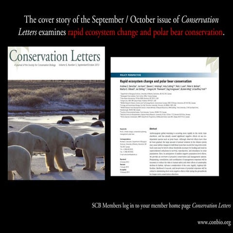 A Photo Essay: Rapid ecosystem change and polar bear conservation ...