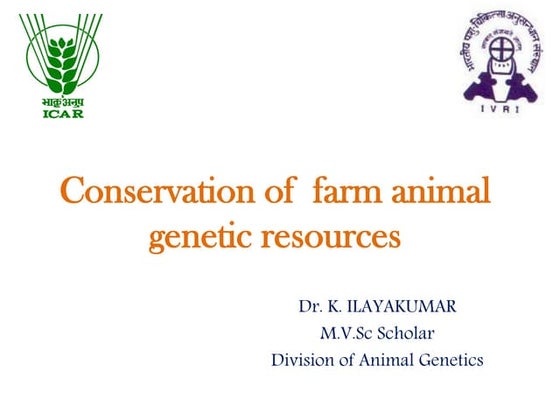 Philippine Native Chicken: The BANABA NATIVE CHICKEN of CALABARZON | DOCX