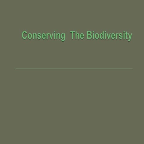 Biodiversity | DOCX