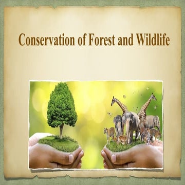 Conservation of forest and wildlife.pptx