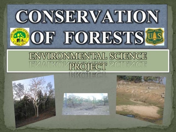 Social Forestry.pptx | Agriculture | Industries