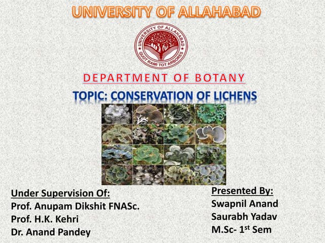 Nannofossils- Swapnil.pptx