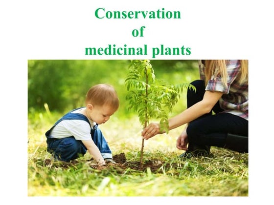 CONSERVATION OF MEDICINAL PLANTS | PPT