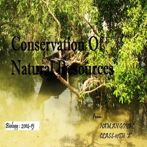 Conservation of natural resources | PPT