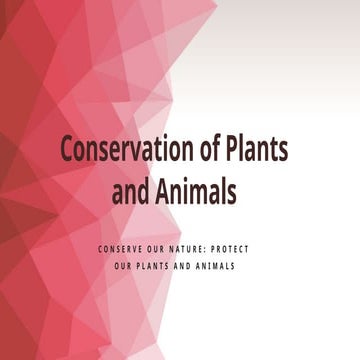 Presentation on nature and wildlife conservation | PPTX